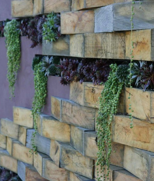 Landscape Design | Brendan Moar